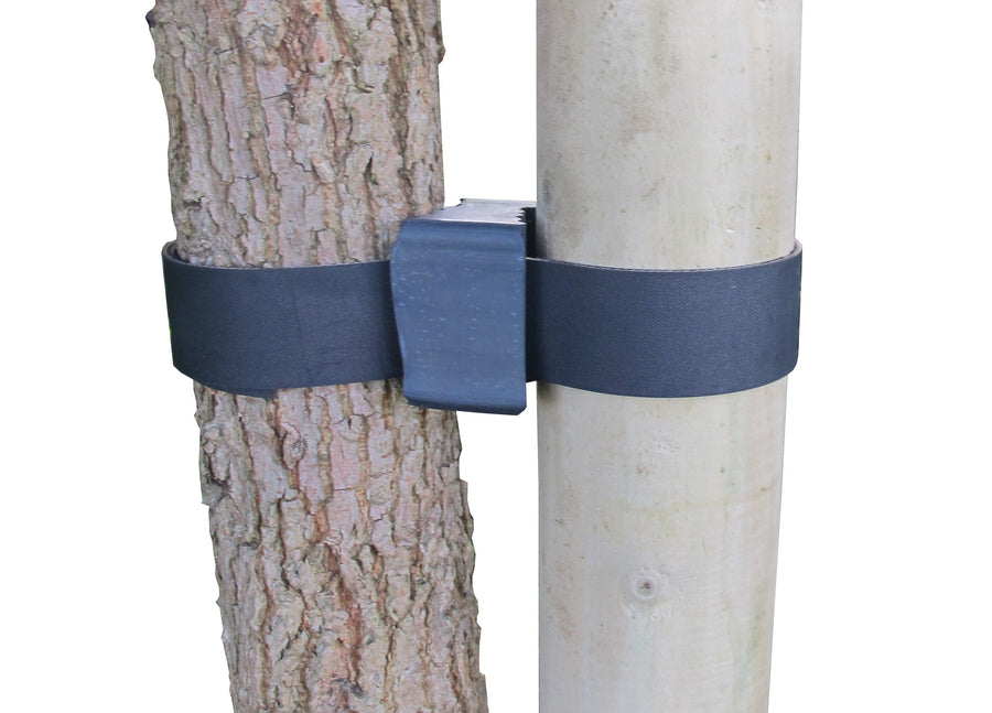 How To Choose the Right Tree Staking Method. How To Guide. | Amenity Choice
