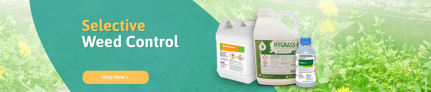 Premium planting and landscaping solutions | Amenity Choice