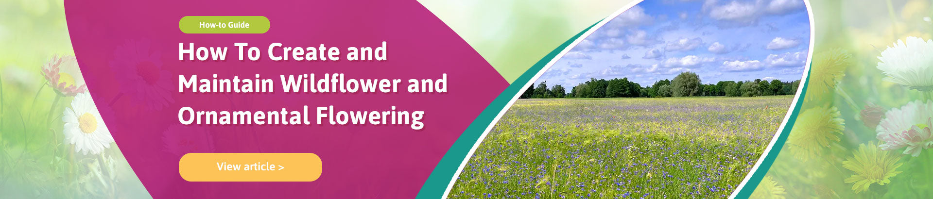 Premium planting and landscaping solutions | Amenity Choice