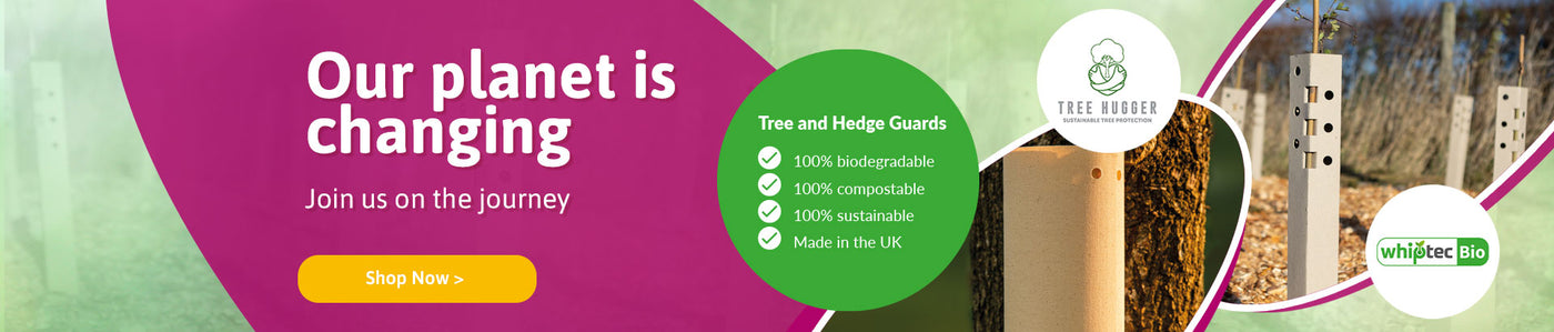 Premium planting and landscaping solutions | Amenity Choice