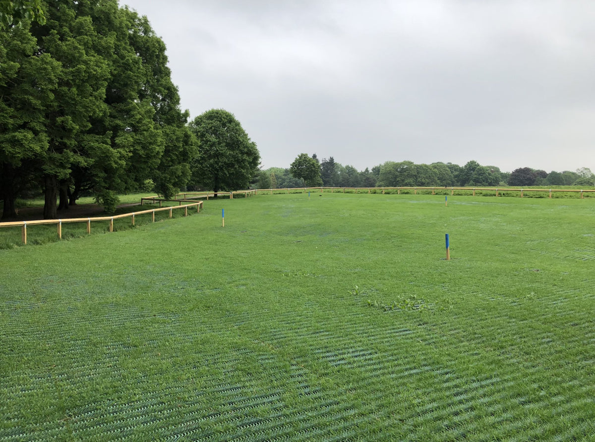 Grass Reinforcement Mesh Heavy Duty | Amenity Choice