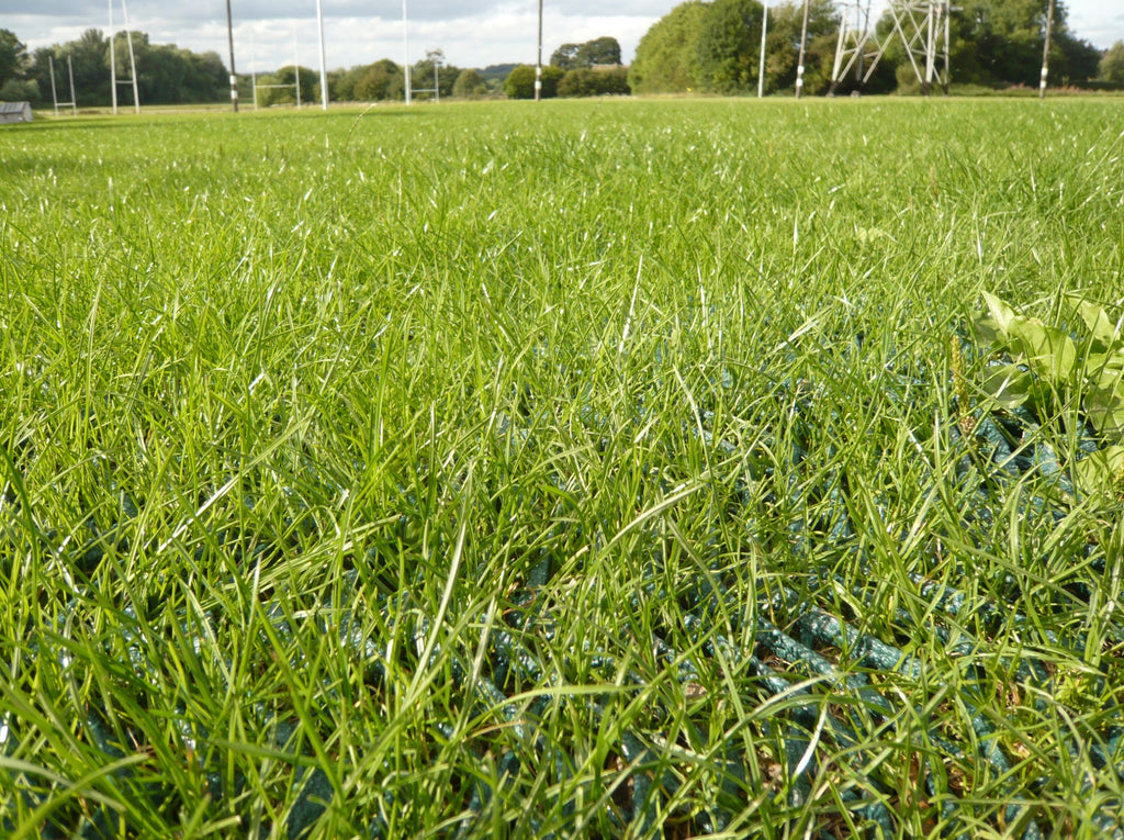 Grass Reinforcement Mesh Heavy Duty | Amenity Choice
