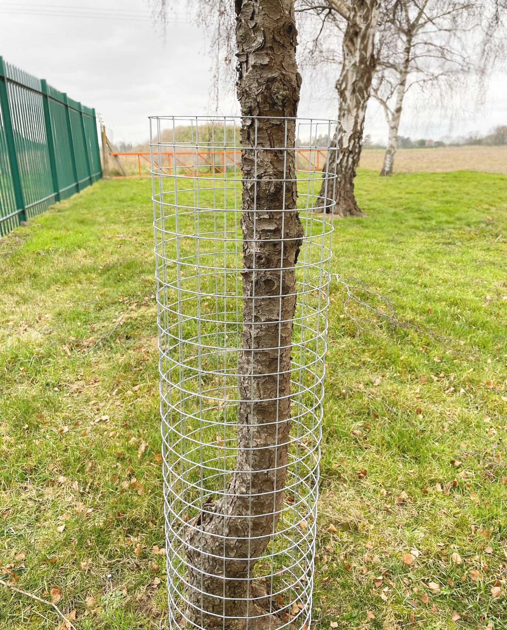 Welded Mesh Tree Guards | Amenity Choice