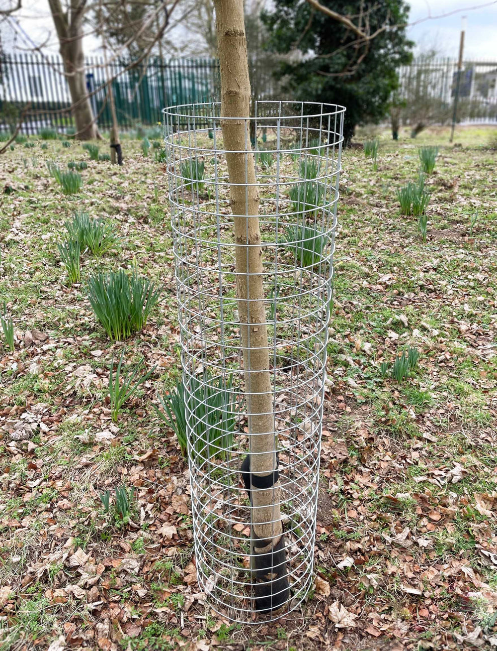 Welded Mesh Tree Guards | Amenity Choice
