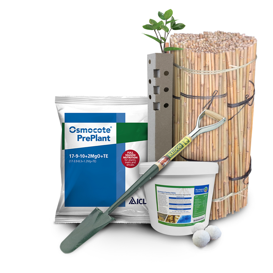 Tree & Hedge Planting Packages with Free Extras | Amenity Choice