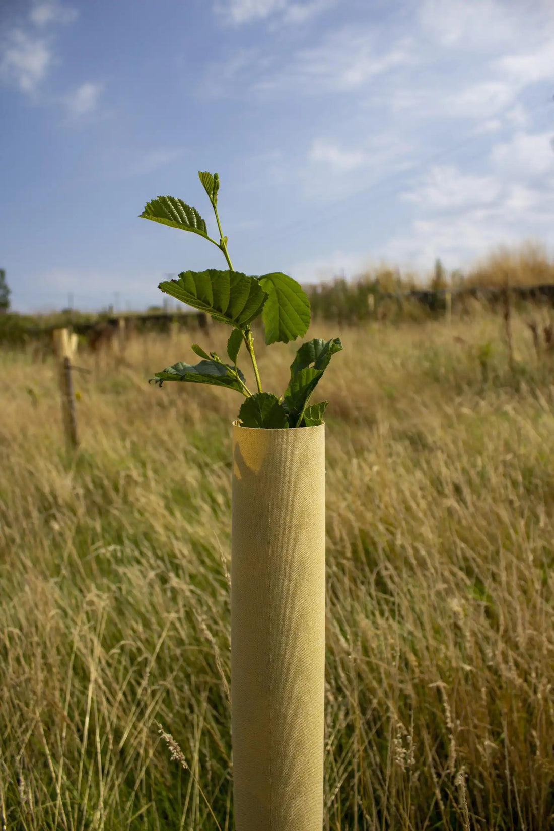 Tree Hugger™ Biodegradable Shelters And Guards | Amenity Choice