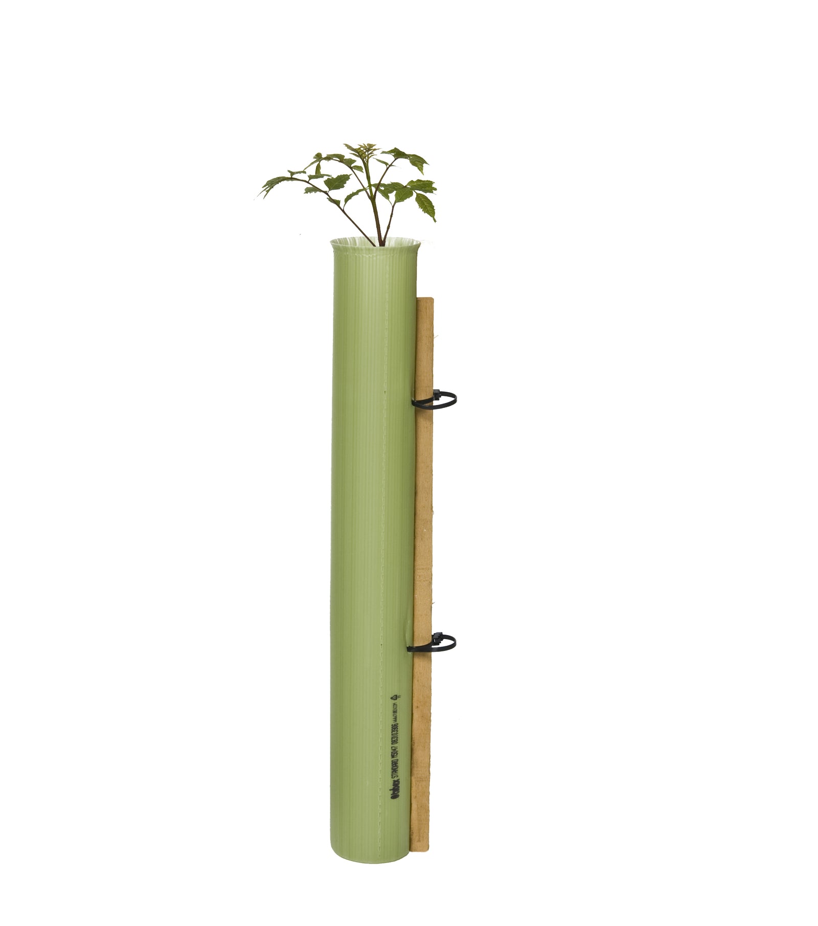 Tubex Standard - Tube Shelter for Trees Nest of 5 | Amenity Choice